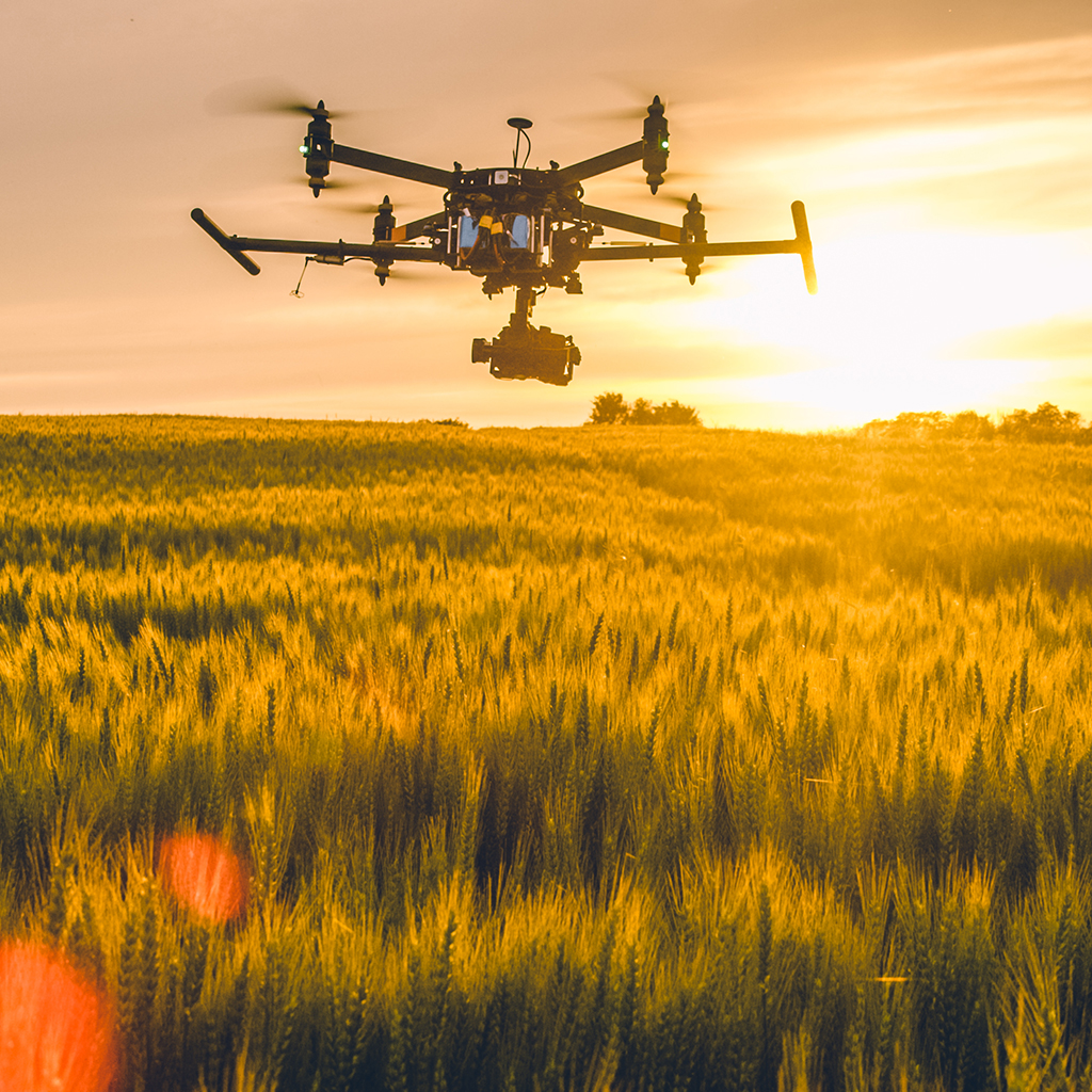 Stopping drones invading privacy on farms | Thynne + Macartney