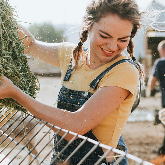Family farming – the next generation | Thynne + Macartney